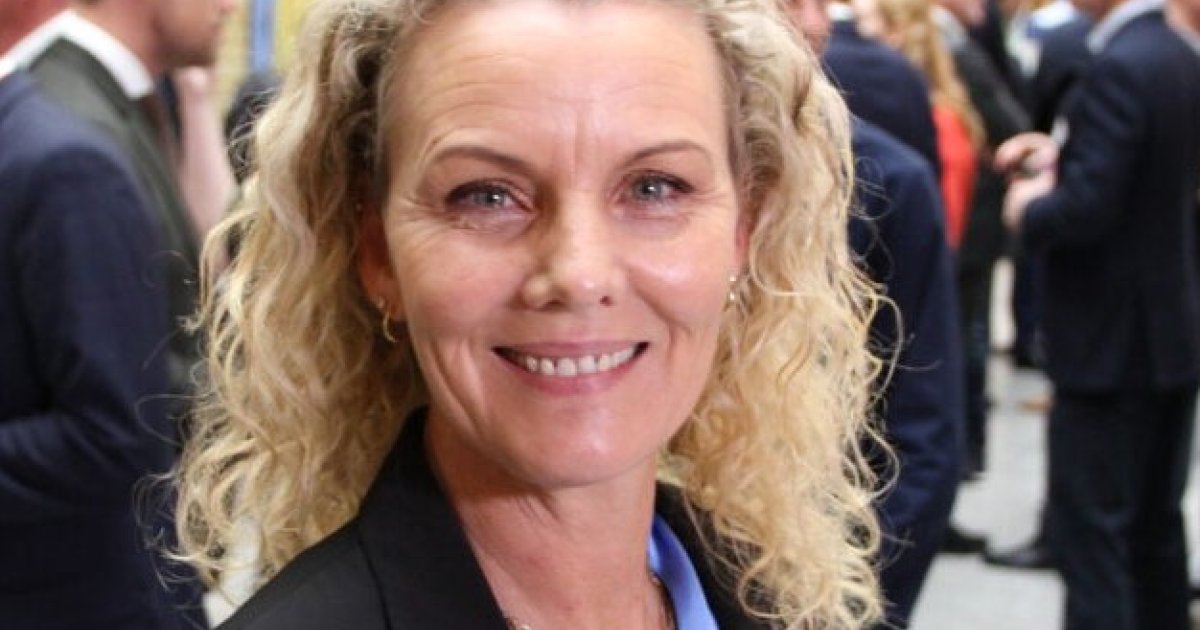 Senterpartiet sier nei til Høyres nye strømkabler - Senterpartiet